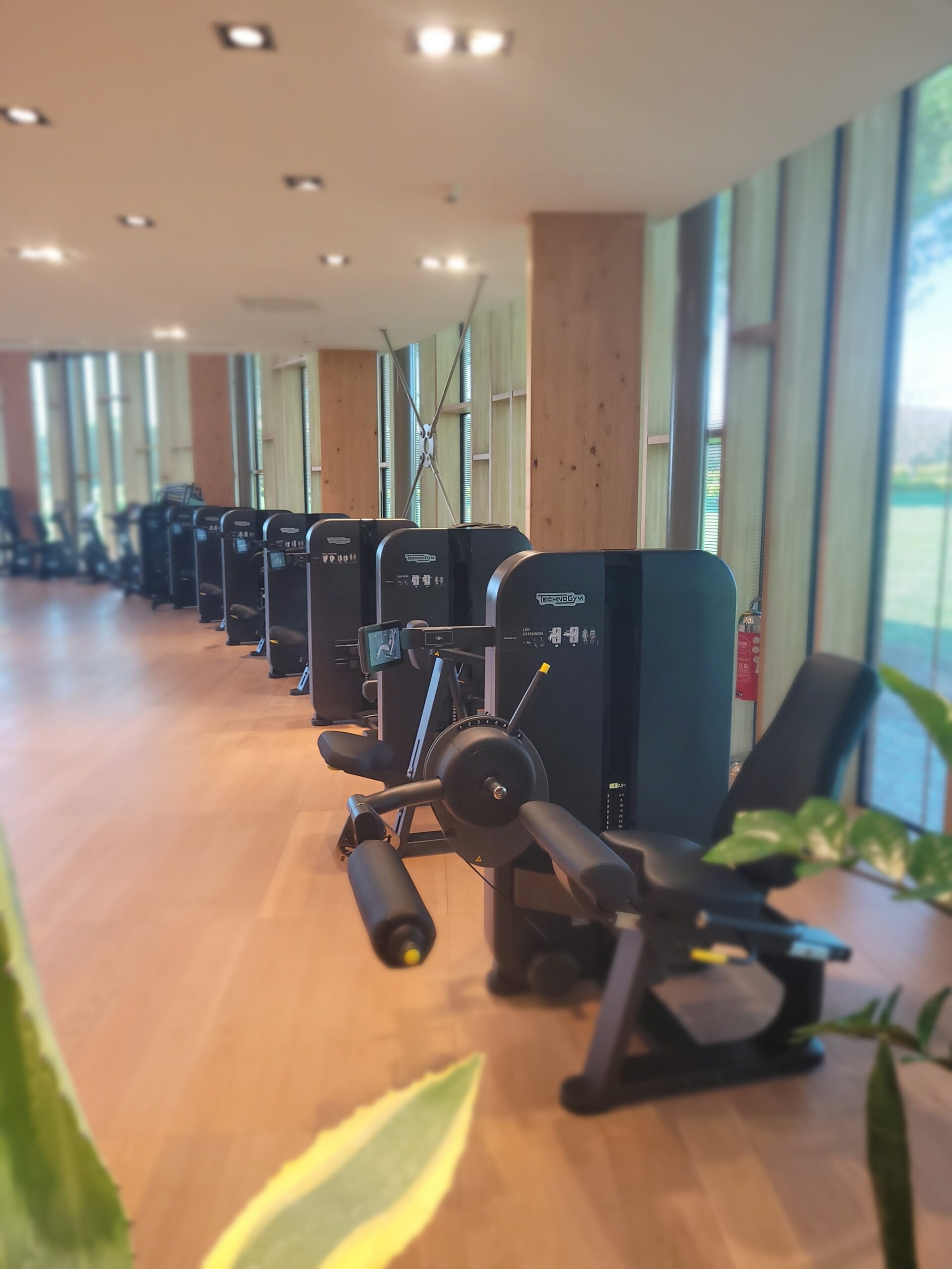 Technogym: A Beginner's Guide