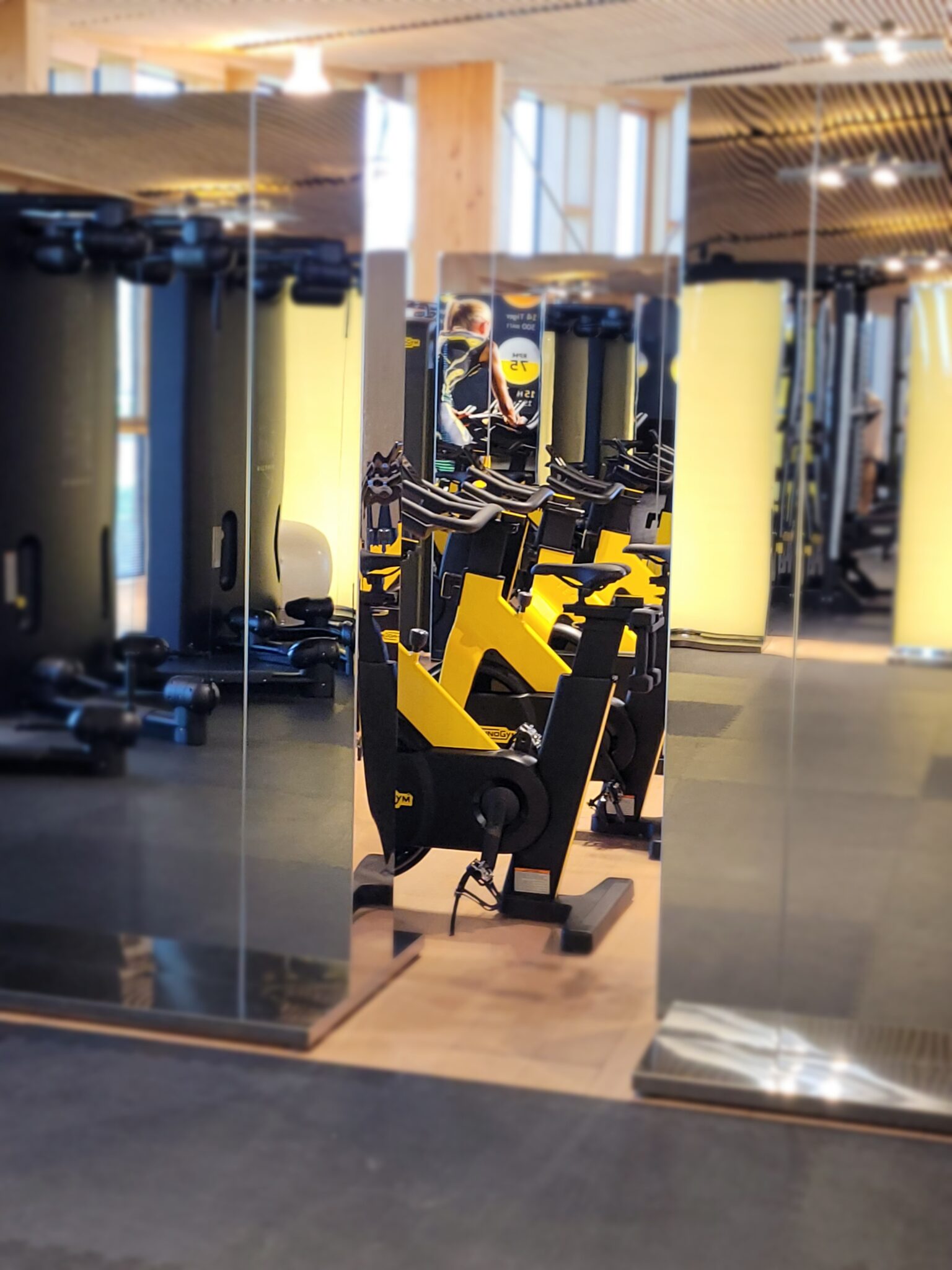 Technogym: A Beginner's Guide