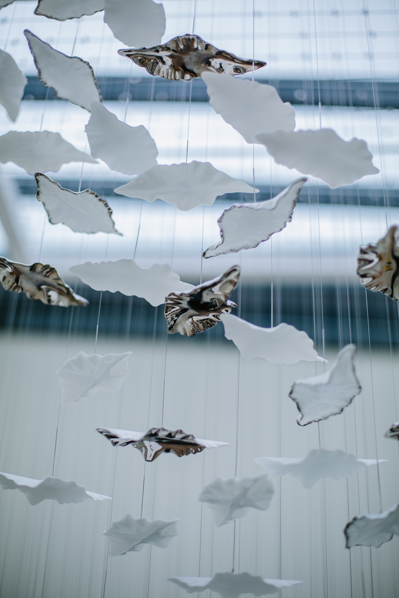Key Differences Between Interior Design and Interior Architecture